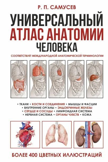 Универсальный атлас анатомии человека : Самусев. Анатомия : Самусев ...