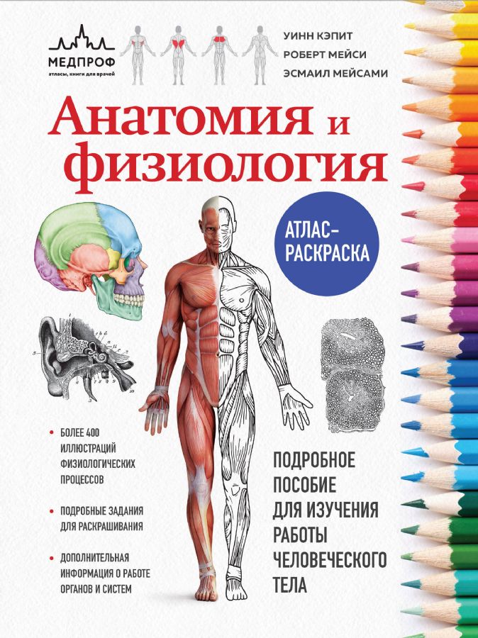 Анатомия и физиология. Атлас-раскраска : Интерактивная анатомия: лучшие ...