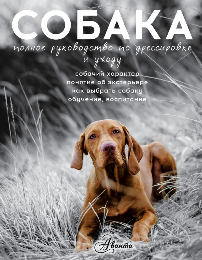 Собака. Полное руководство по дрессировке и уходу : Полное руководство ...